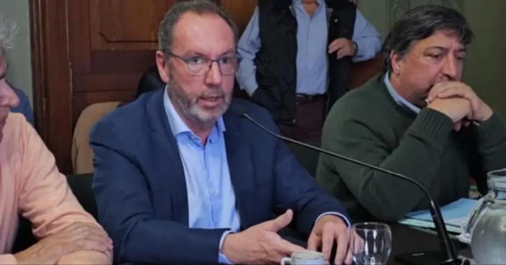Walter Torchio: "La Ley Bases es un cambio a la dirección equivocada ...